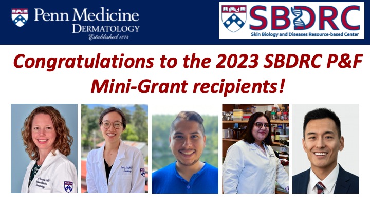 SBDRC 2023 P&F Minigrants - Penn Dermatology Training